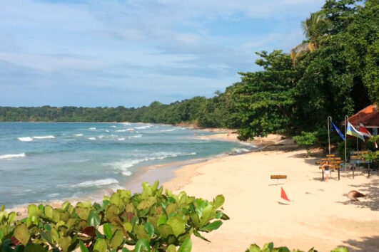 Punta Uva Sea Kayak & Rainforest Hike - Exploradores Outdoors Costa Rica